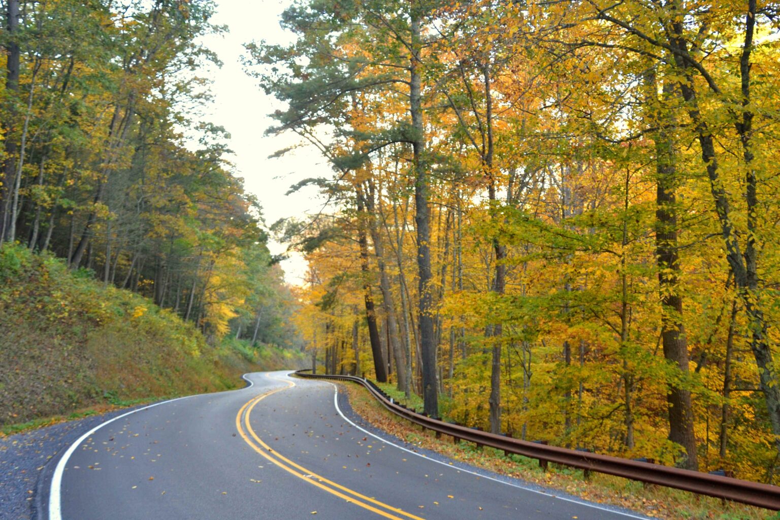 Russell-Brasstown Scenic Byway: Georgia's nature and culture